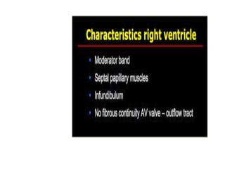 Anatomy of right atrium | PPTX