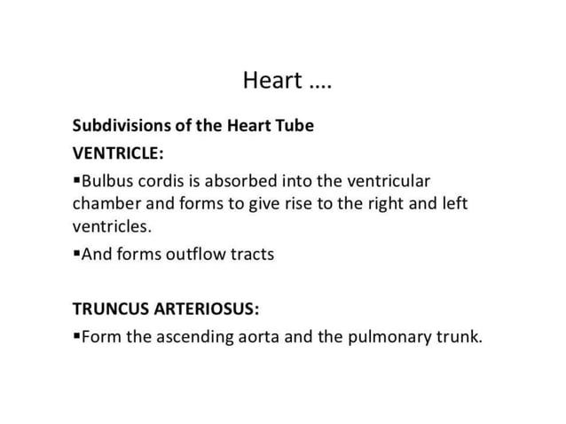 Anatomy of right atrium | PPTX | Heart and Cardiovascular Diseases ...