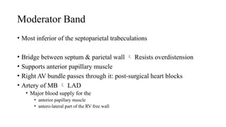 Anatomy of Right Atrium and Right Ventricle- Dr. Garv.pptx