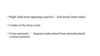 Anatomy of Right Atrium and Right Ventricle- Dr. Garv.pptx