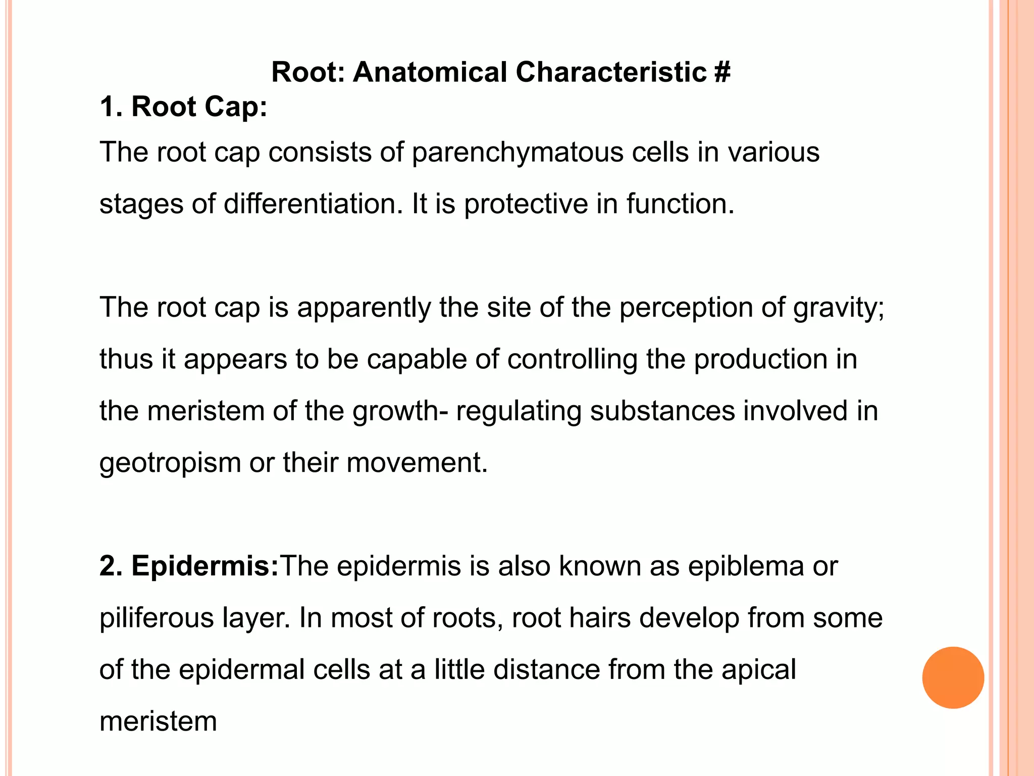 Anatomy of root | PPTX