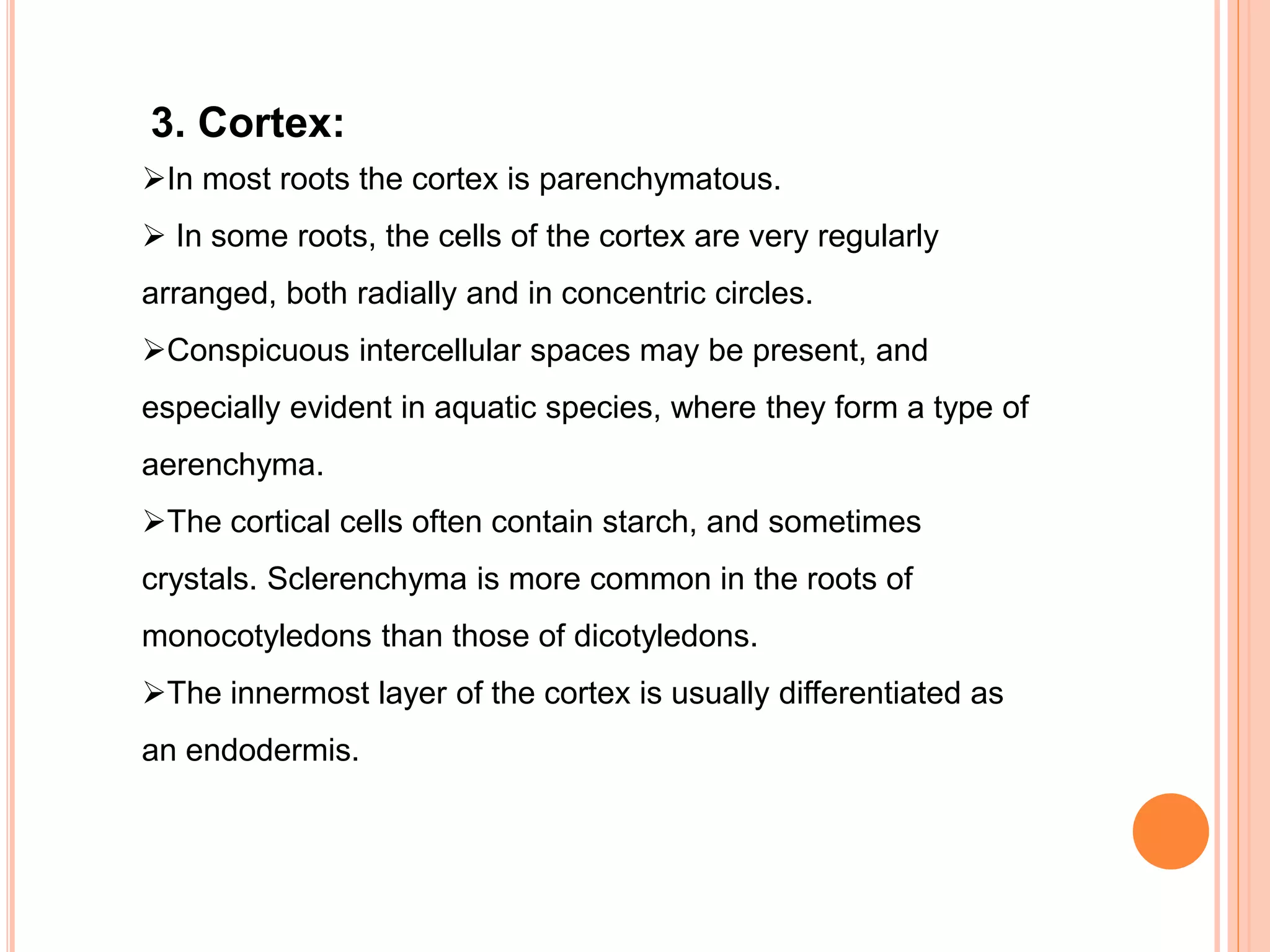 Anatomy of root | PPTX