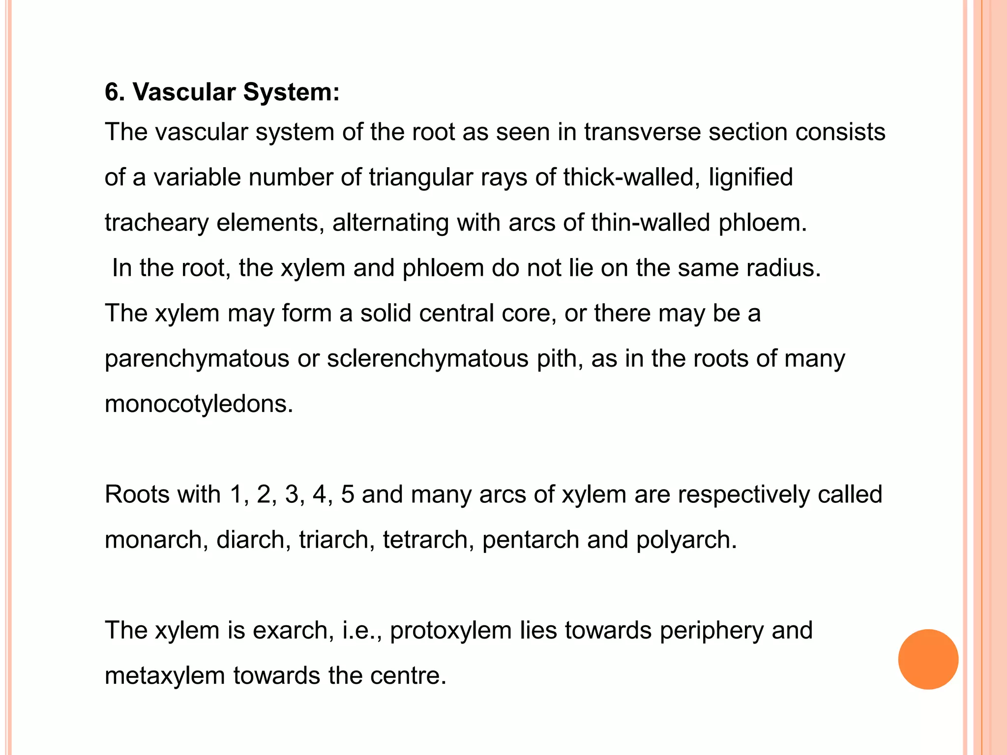 Anatomy of root | PPTX