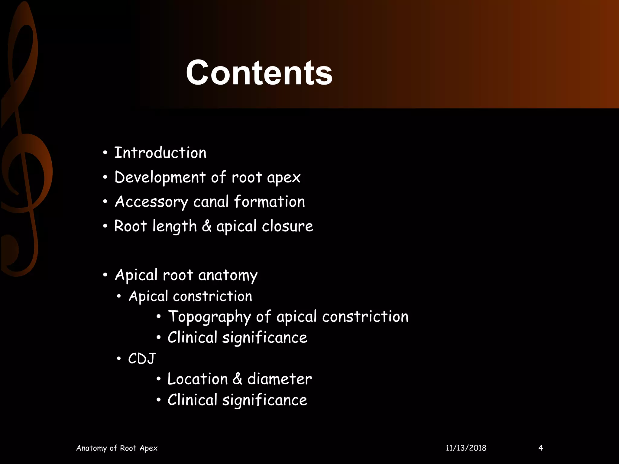 Anatomy of root apex | PPTX