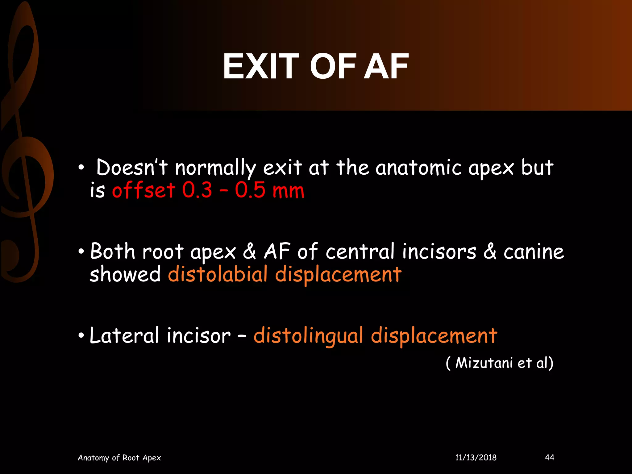 Anatomy of root apex | PPTX