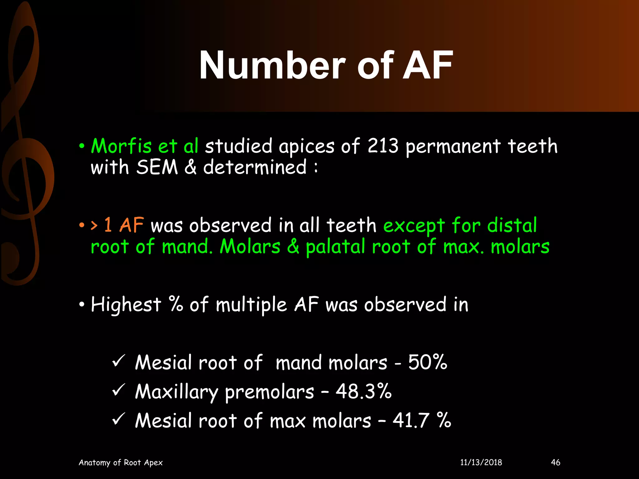 Anatomy of root apex | PPTX