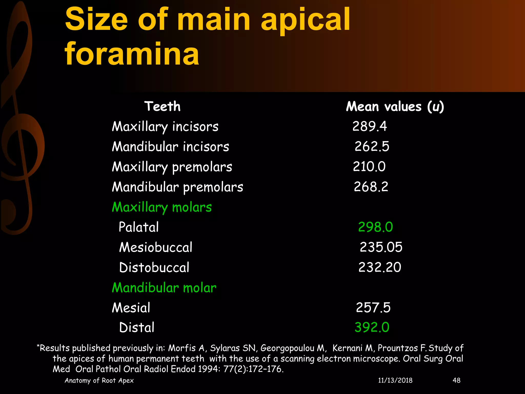 Anatomy of root apex | PPTX