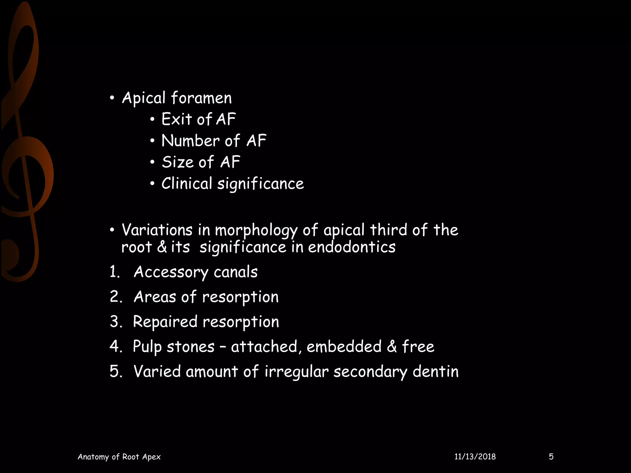 Anatomy of root apex | PPTX