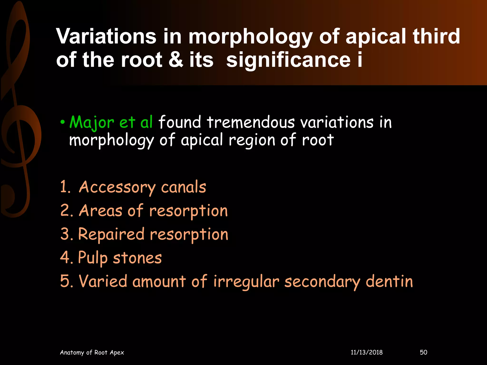 Anatomy of root apex | PPTX