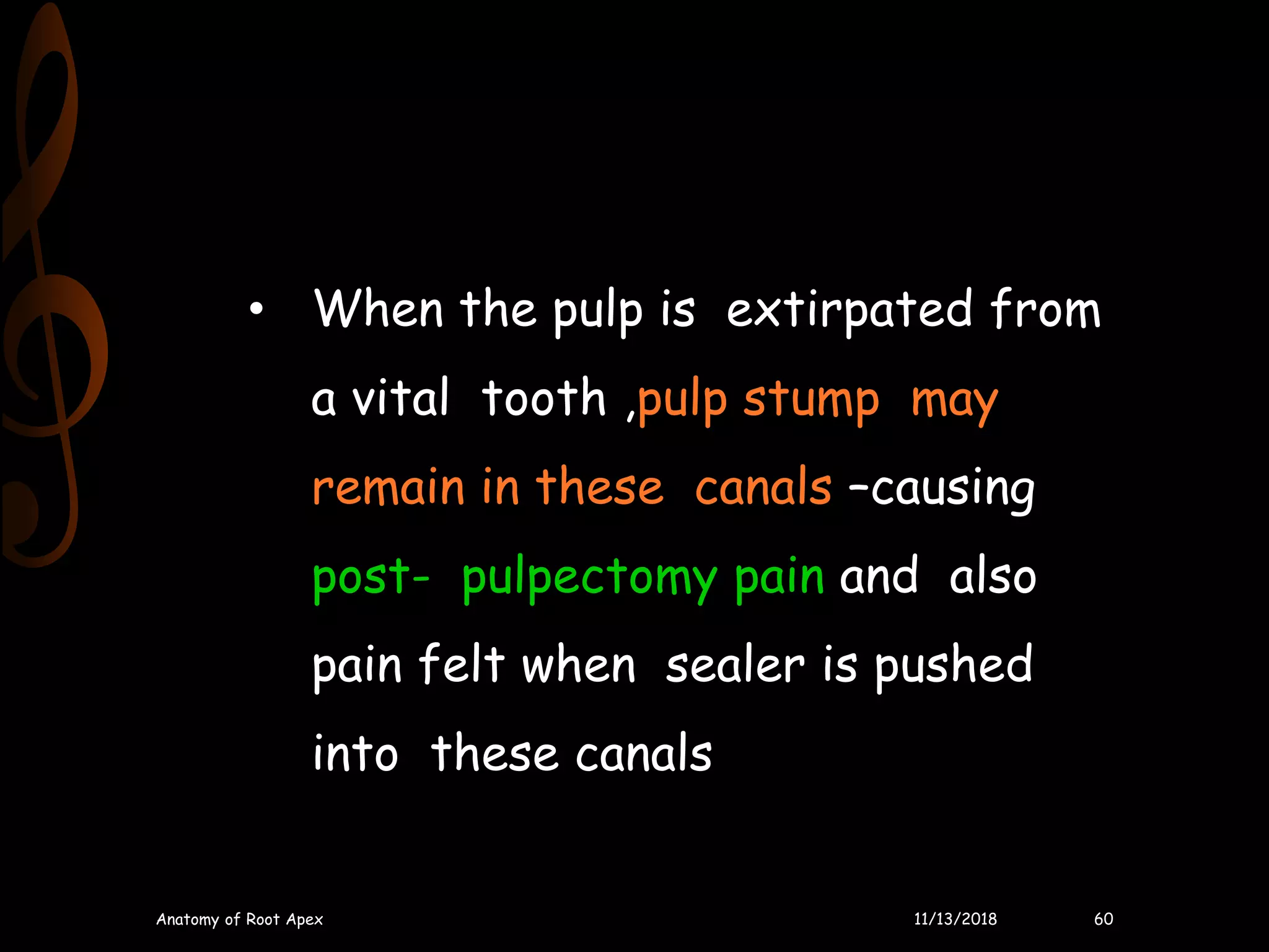 Anatomy of root apex | PPTX