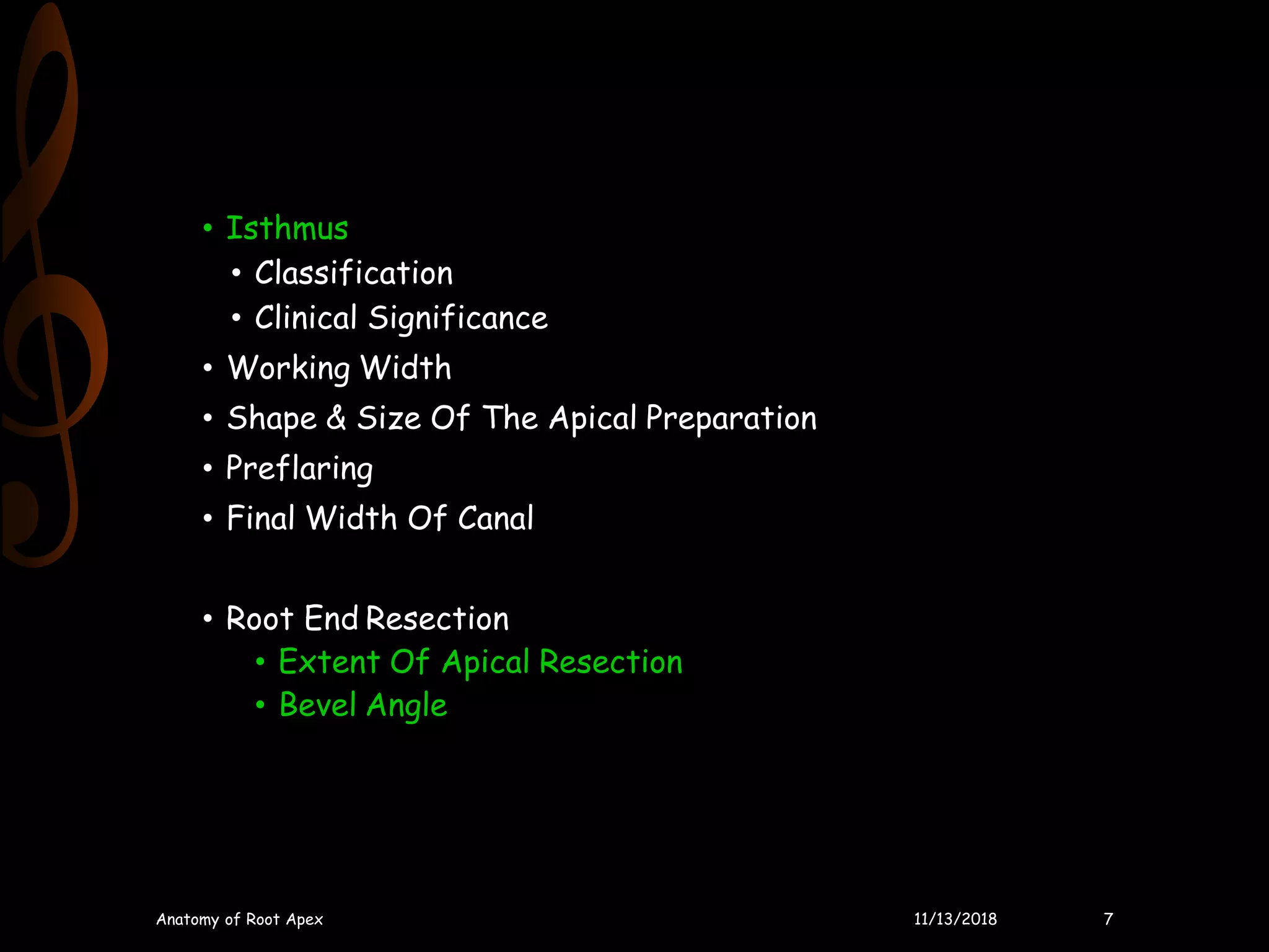 Anatomy of root apex | PPTX