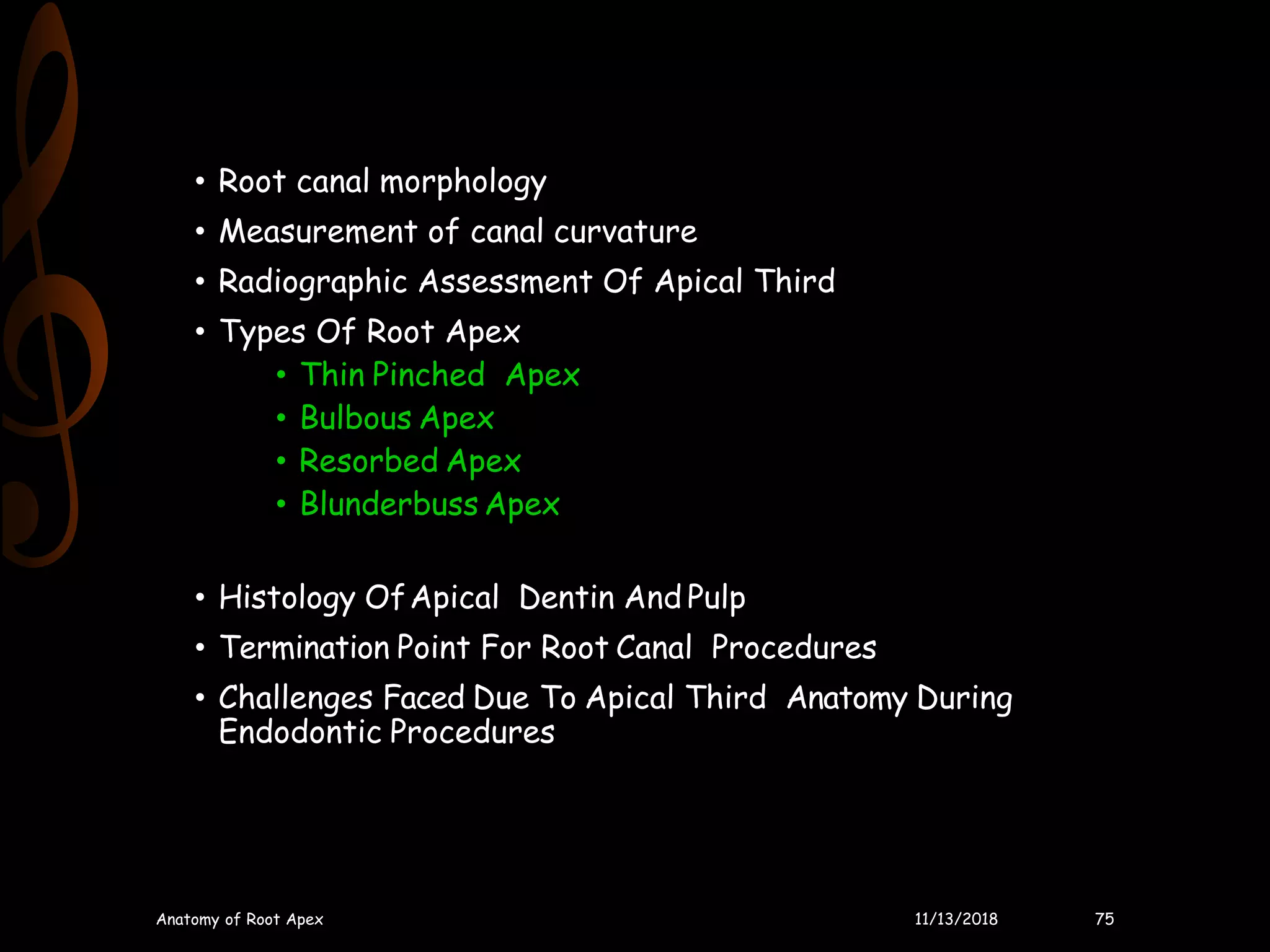 Anatomy of root apex | PPTX