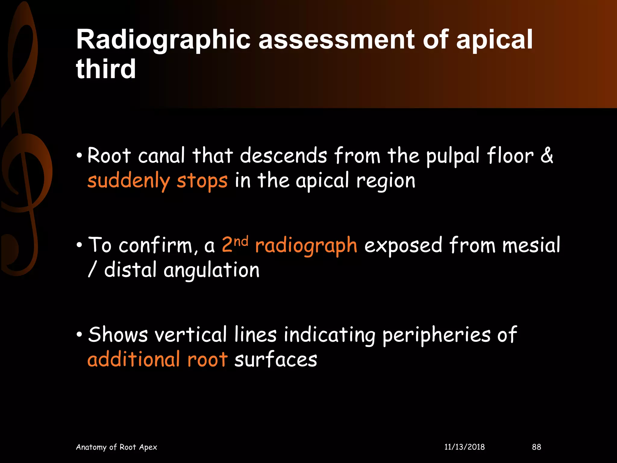 Anatomy of root apex | PPTX