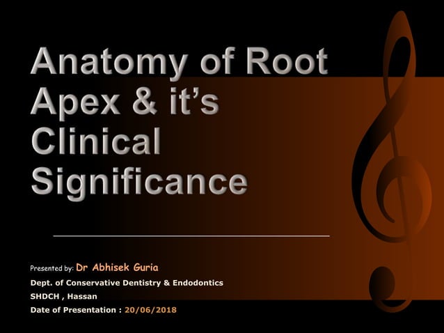 Anatomy of root apex | PPTX