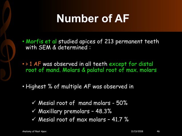 Anatomy of root apex | PPTX