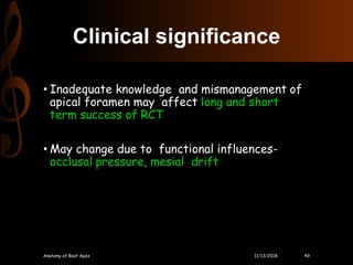 Anatomy of root apex | PPTX