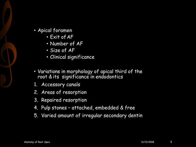 Anatomy of root apex | PPTX