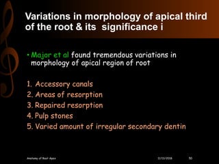 Anatomy of root apex | PPTX