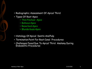 Anatomy of root apex | PPTX
