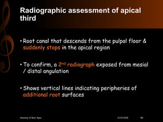 Anatomy of root apex | PPTX