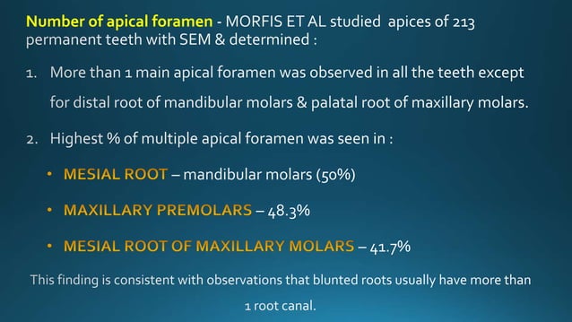 Anatomy of root apex and its significance new | PPTX | Dental Health ...