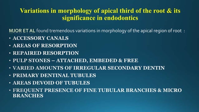 Anatomy of root apex and its significance new | PPTX | Dental Health ...
