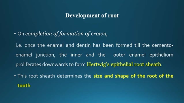 Anatomy of root apex and its significance new | PPTX | Dental Health ...