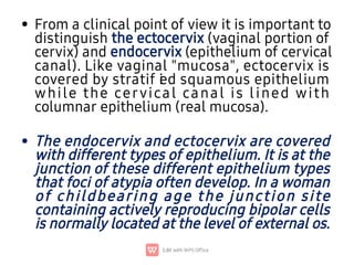Anatomy of Reproductive system gynecology.pdf