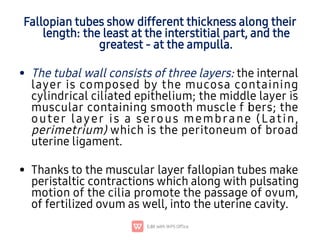 Anatomy of Reproductive system gynecology.pdf