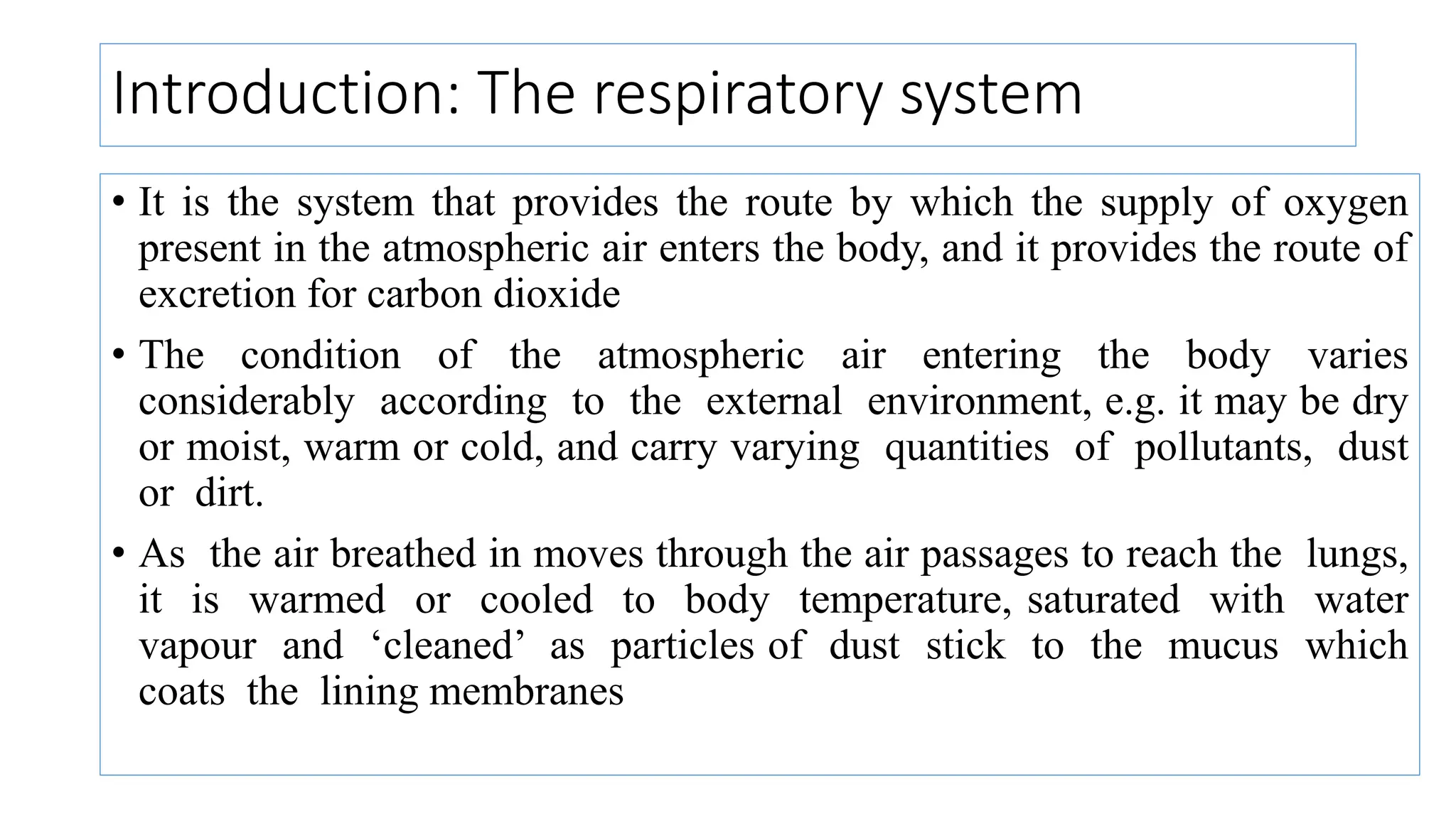 anatomy of rspiratory system, 2022.ppt