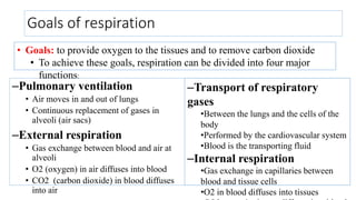 anatomy of rspiratory system, 2022.ppt