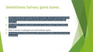 Anatomy of salivary glands in humaneing.pptx