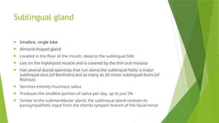 Anatomy of salivary glands in humaneing.pptx