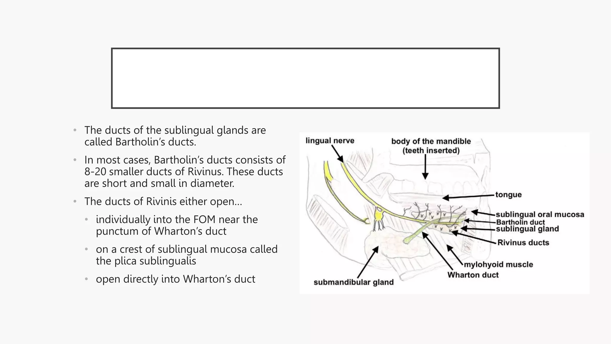 Anatomy of salivary glands R1-B4.pptx
