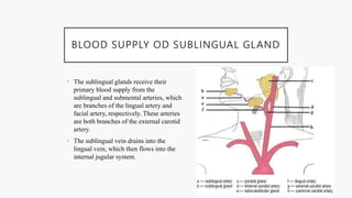 Anatomy of salivary glands R1-B4.pptx