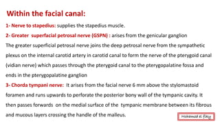 Anatomy of scalp and face | PDF