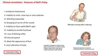 Anatomy of scalp and face | PDF