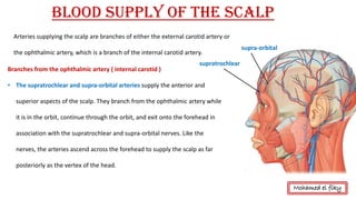 Anatomy of scalp and face | PPT