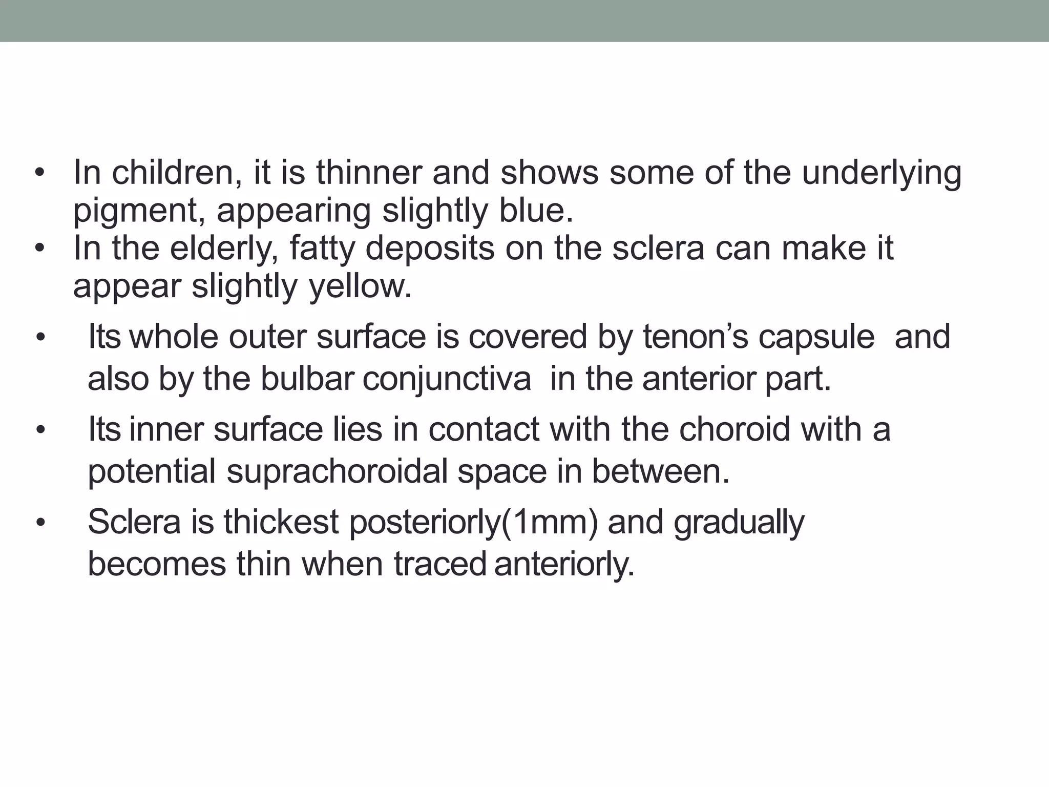 Anatomy of sclera | PPTX