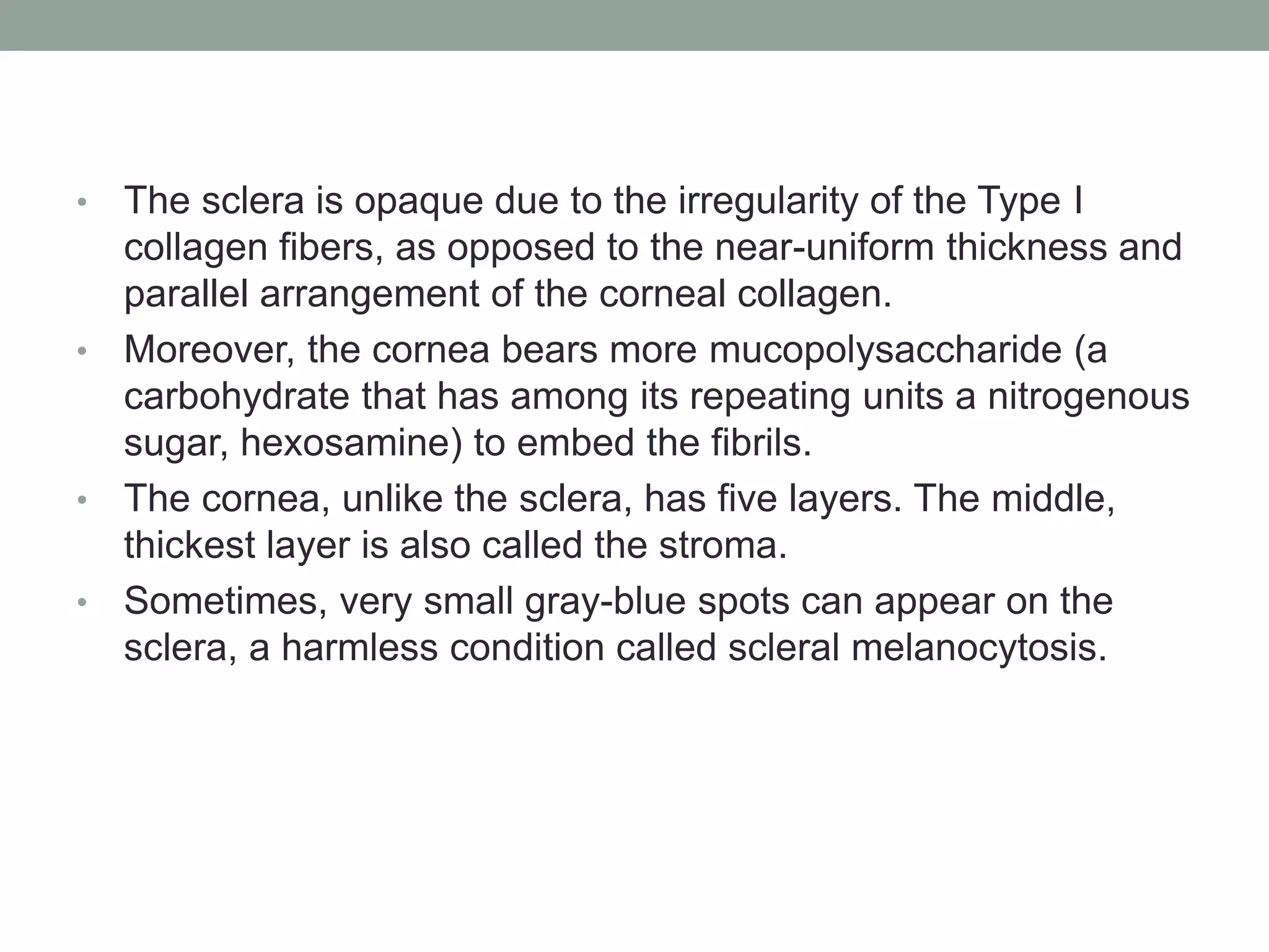 Anatomy of sclera | PPTX