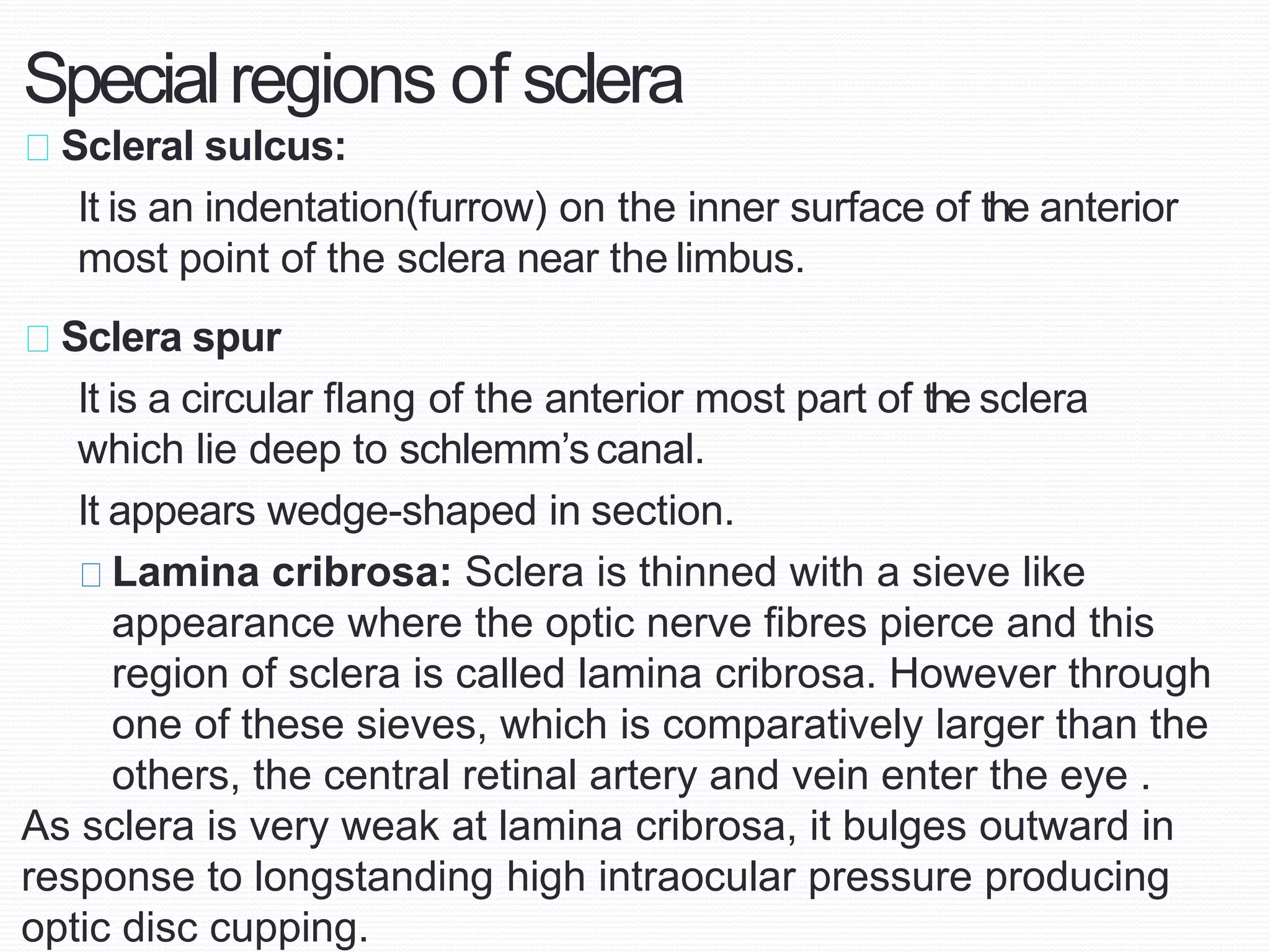 Anatomy of sclera | PPTX