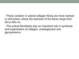 Anatomy of sclera | PPTX