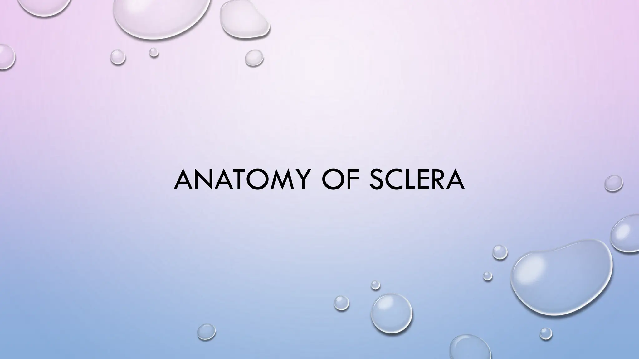 ANATOMY OF SCLERA.pdf