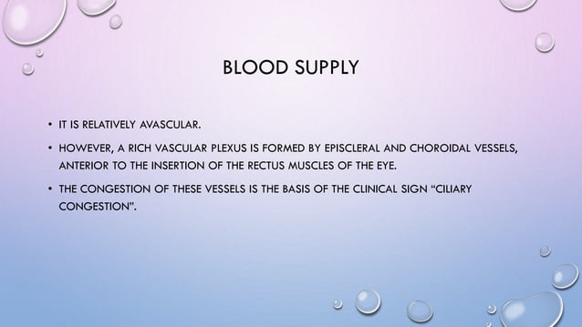 Anatomy Of Sclera Pdf