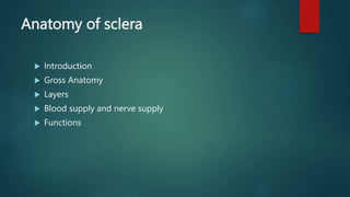 anatomy of sclera ophthalmology presentation | PPT