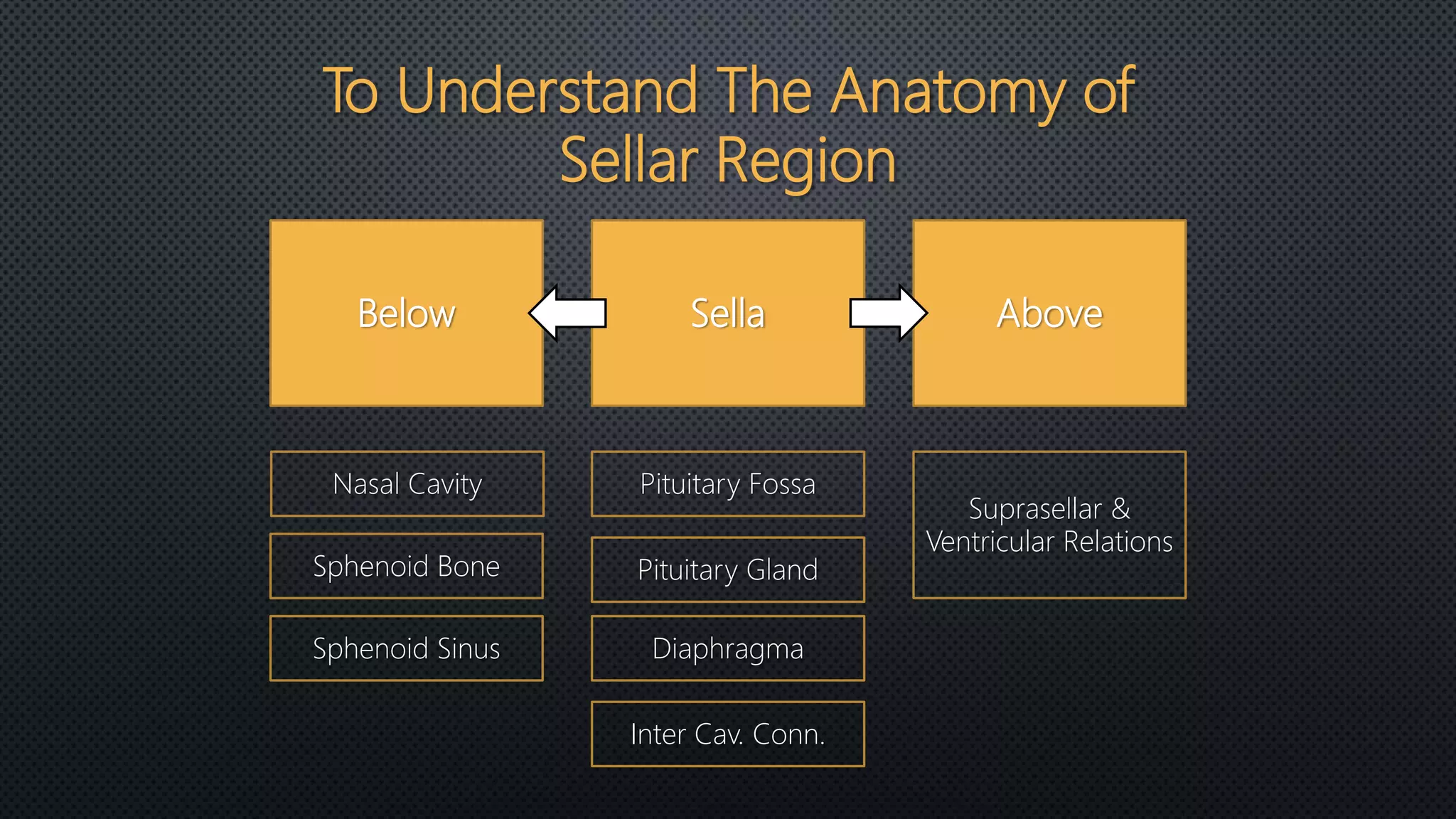 Anatomy of the Sellar Region (A.GH) | PPTX