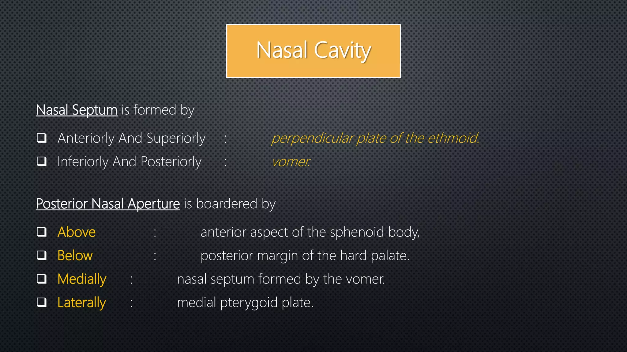 Anatomy of the Sellar Region (A.GH) | PPTX