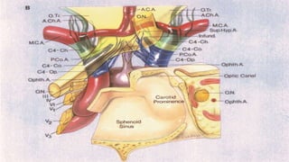 Anatomy of the Sellar Region (A.GH) | PPTX