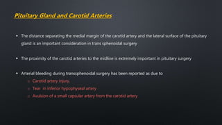 Anatomy of the Sellar Region (A.GH) | PPTX