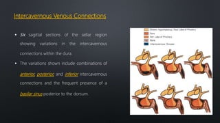 Anatomy of the Sellar Region (A.GH) | PPTX